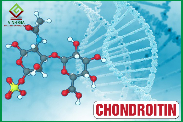 Chondroitin Sulfate là gì? Công dụng và Liều dùng phù hợp
