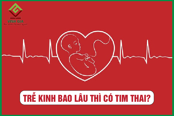 Bạn đang có thai bao lâu thì có tim thai như thế nào